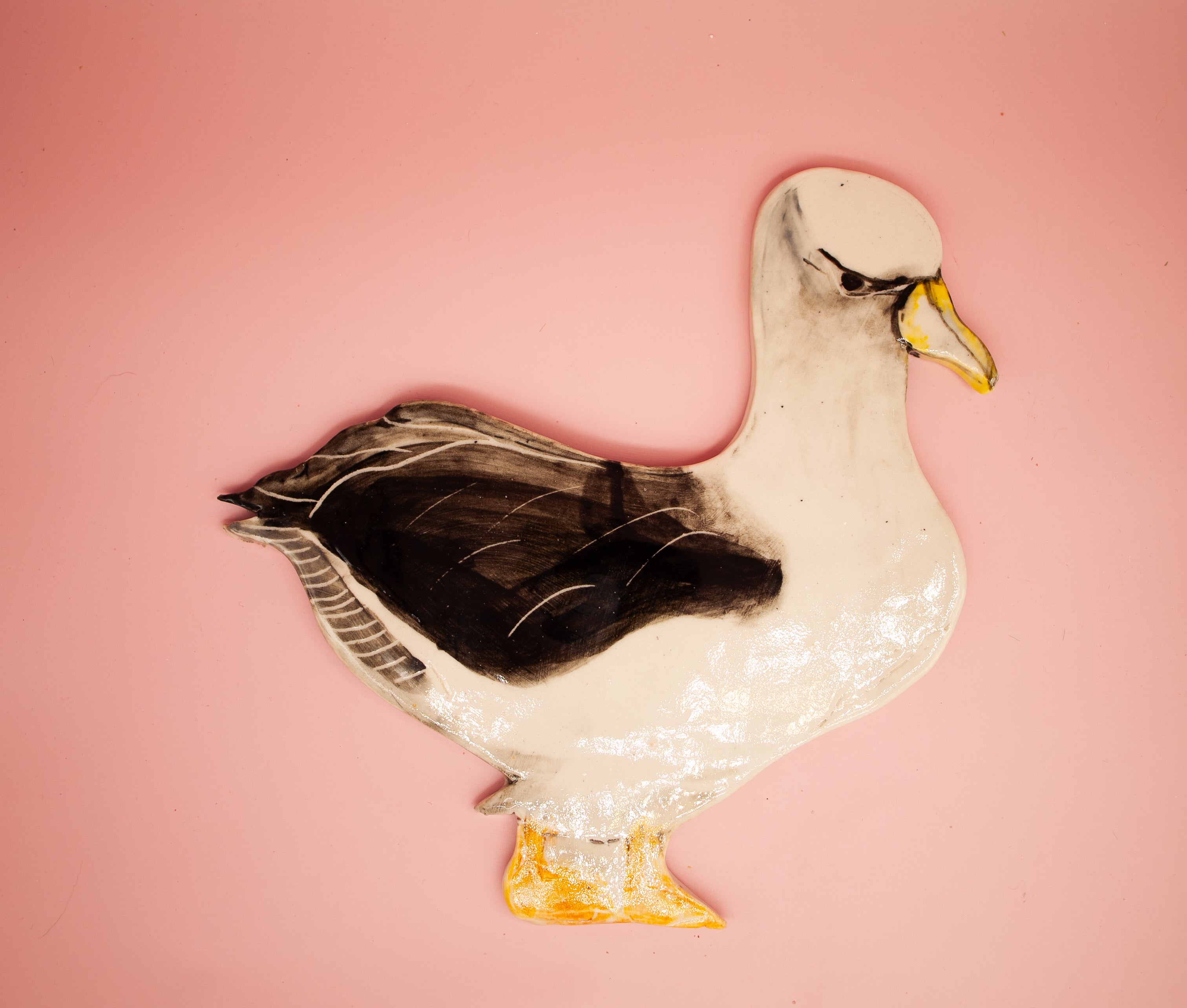 Shy Albatross Wall Hanging Artwork – Yang Qiu